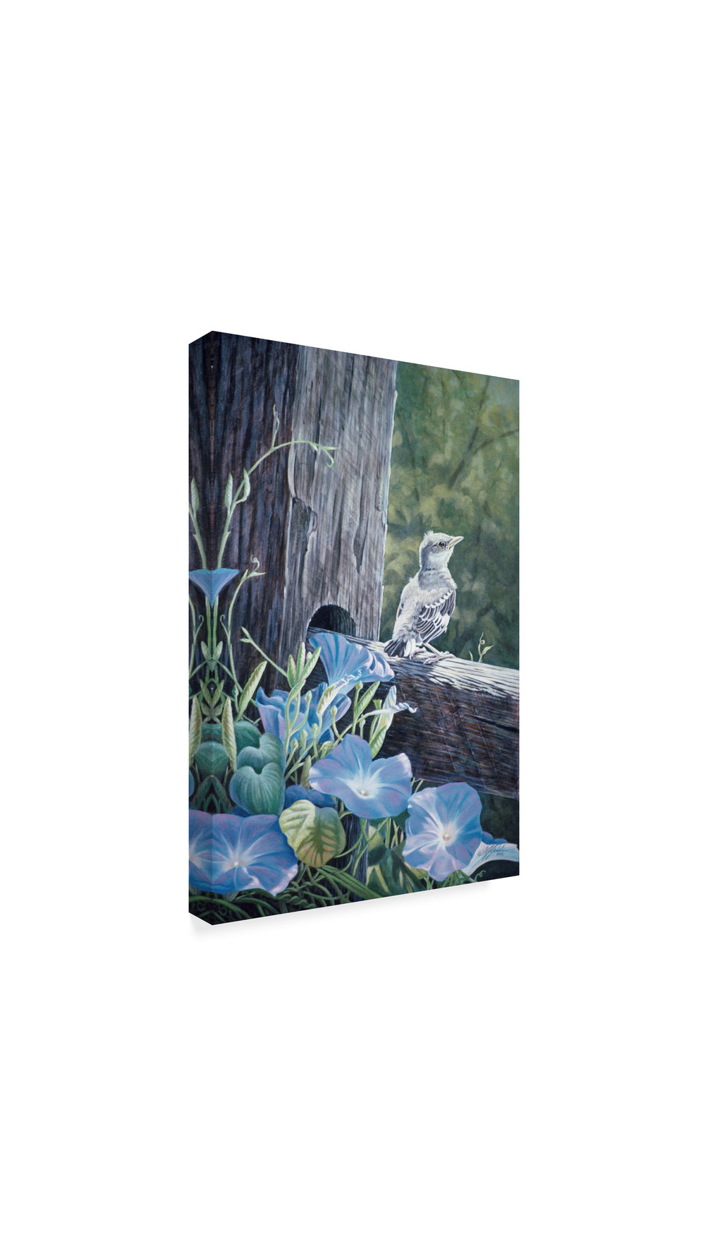 Wilhelm Goebel 'The Fledgling Young Mockingbird' Canvas Art, 47"x30 ...