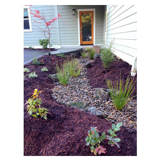 Bioswale - Other - by LandArc Landscaping & Design | Houzz