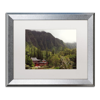 Jason Shaffer 'Hawaii' Matted Framed Art, 20"x16" - Contemporary ...