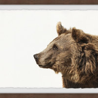 "I Need a Bear Hug" Framed Painting Print, 36x24 - Rustic - Prints And ...