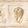 Classic Sea Beige Seashells Wallpaper Border 7"x15' Kb75519 - Beach ...