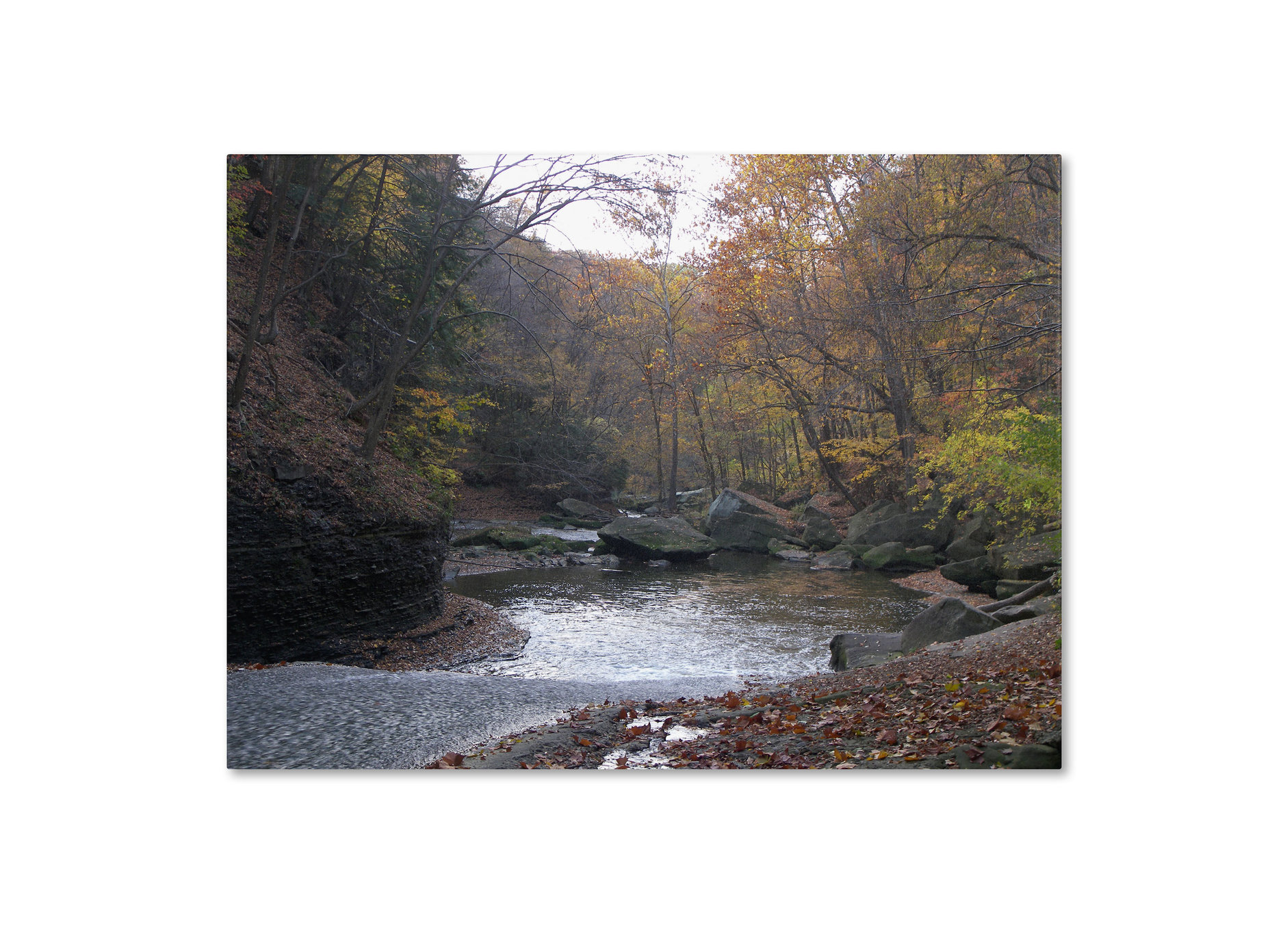 'Prosaic' Canvas Art by Monica Fleet, 24" x 32" - Rustic - Prints And ...