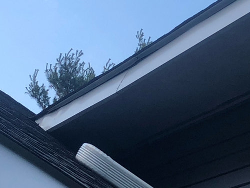 Fascia capping help