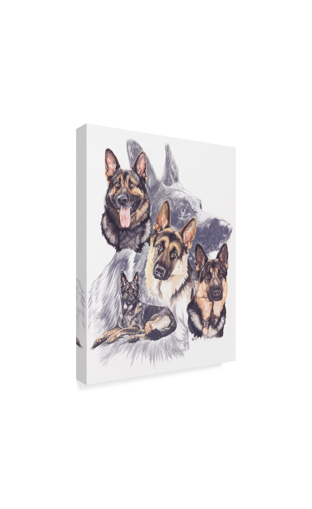 "German Shepard" by Barbara Keith, Canvas Art, 47"x35" - Contemporary ...