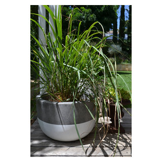 Hazelwood Park pot - Scandinavian - Adelaide - by Annie Deere Garden ...
