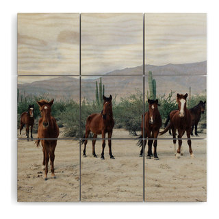 Kevin Russ Baha De Los Ngeles Wild Horses Wood Wall Mural, 36x36 ...