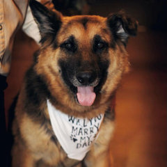 COMPASS PROJECT MANAGEMENT GROUP - Project Photos & Reviews - Austin ...