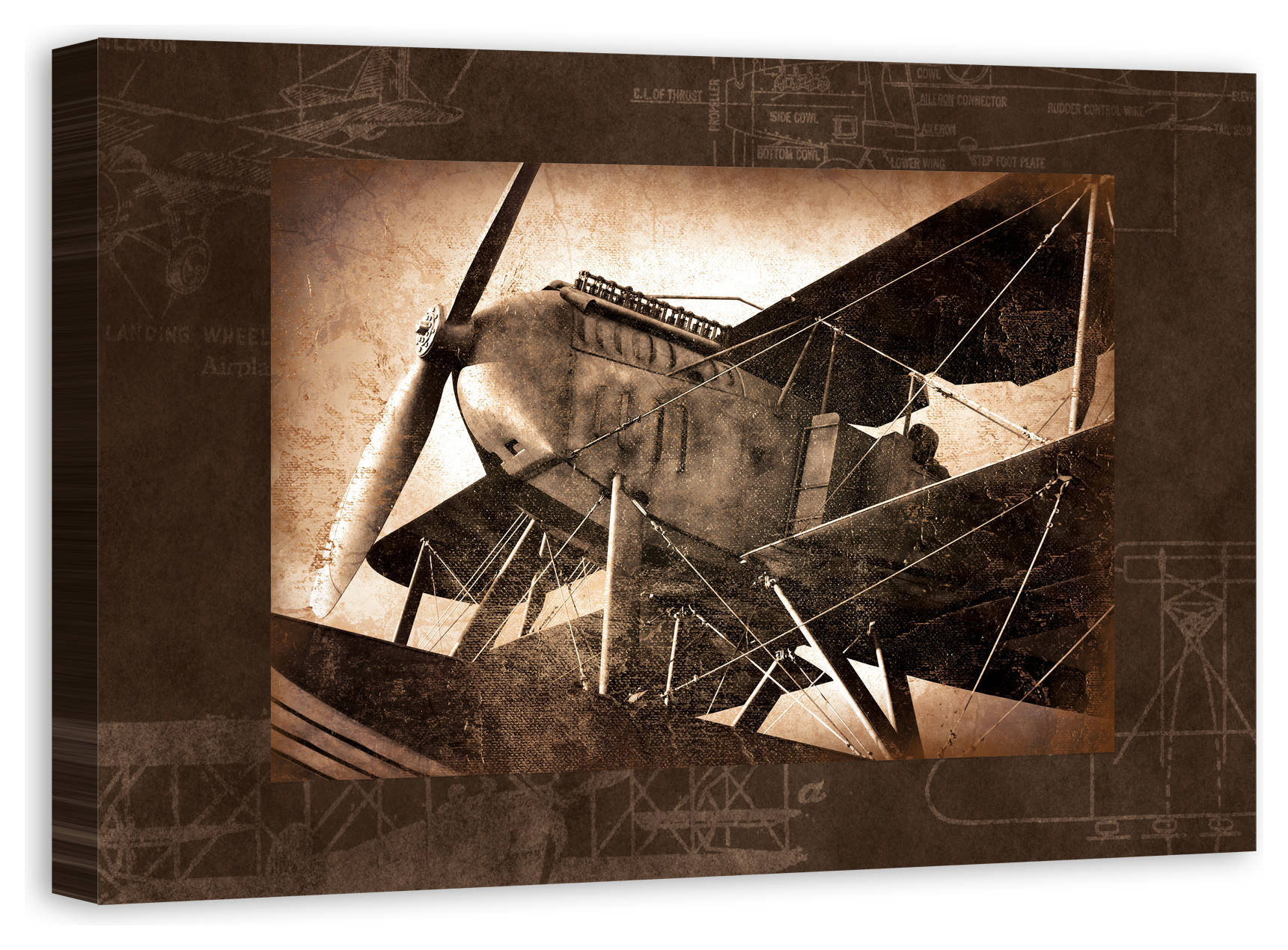 "Vintage Biplane" Canvas Wall Art, 36x24, 36x24 - Transitional - Prints ...