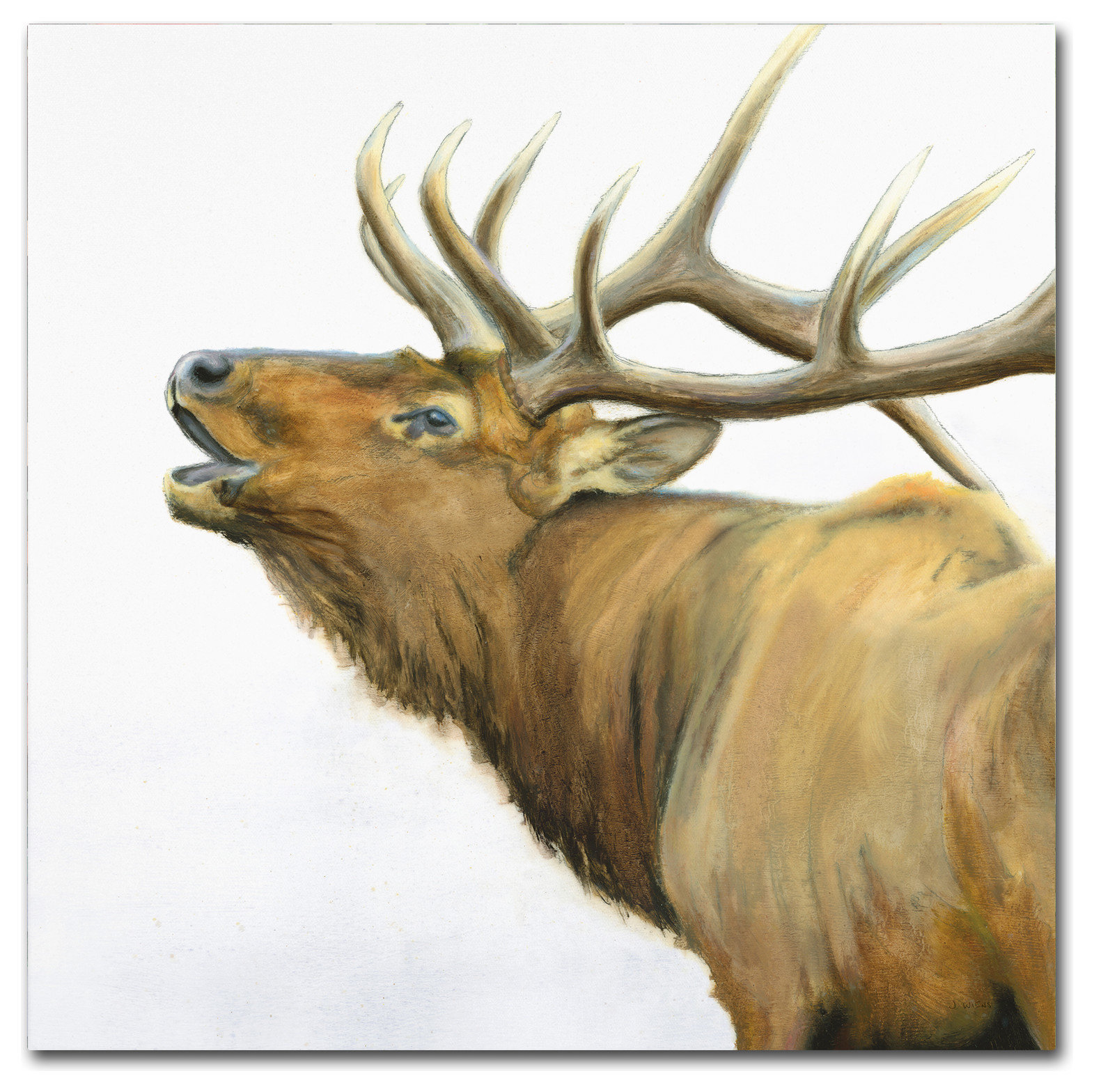James Wiens 'Majestic Elk Brown Crop' Canvas Art, 18"x 18" - Rustic ...