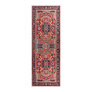 Iris Traditional Area Rug, 2'6"x7'6" - Mediterranean - Hall And Stair ...