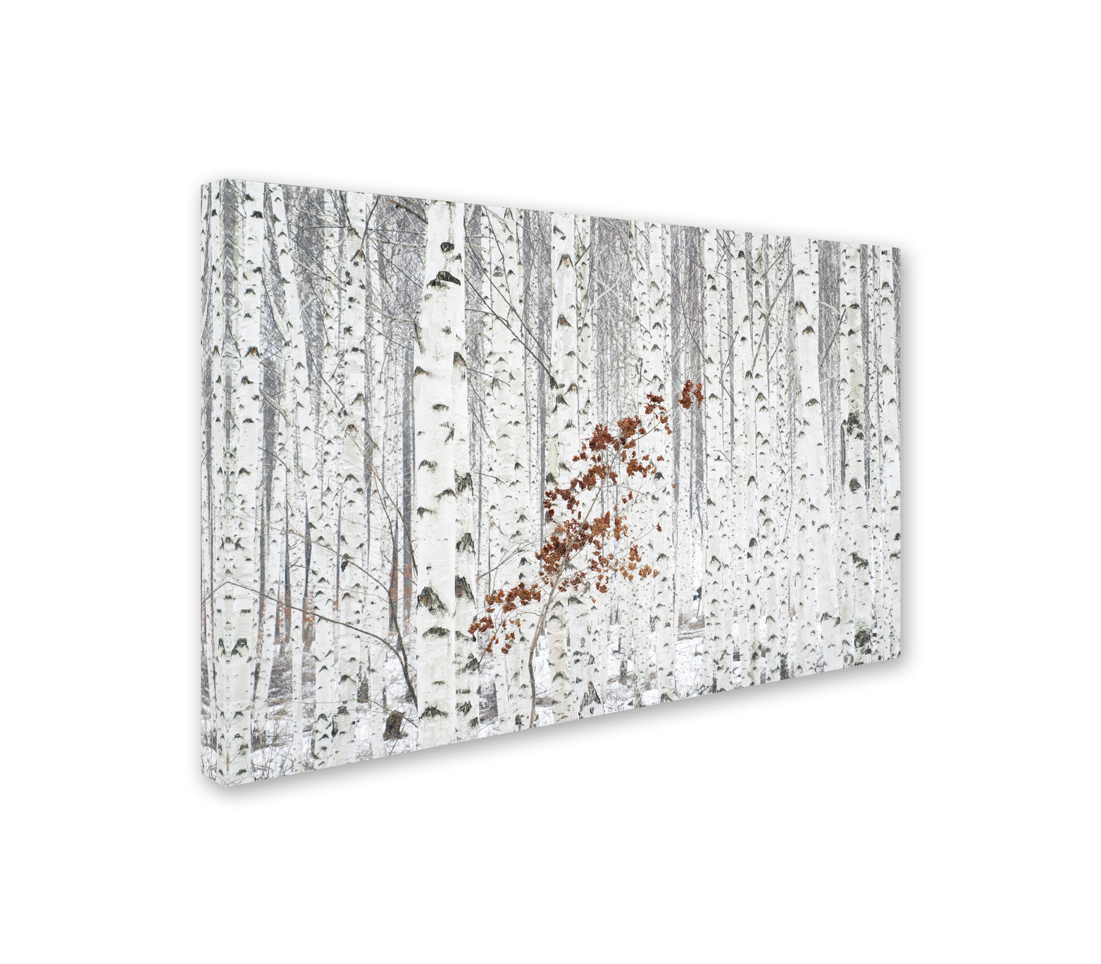 Donghee, Han 'From White' Canvas Art, 24"x 16" - Contemporary - Prints ...