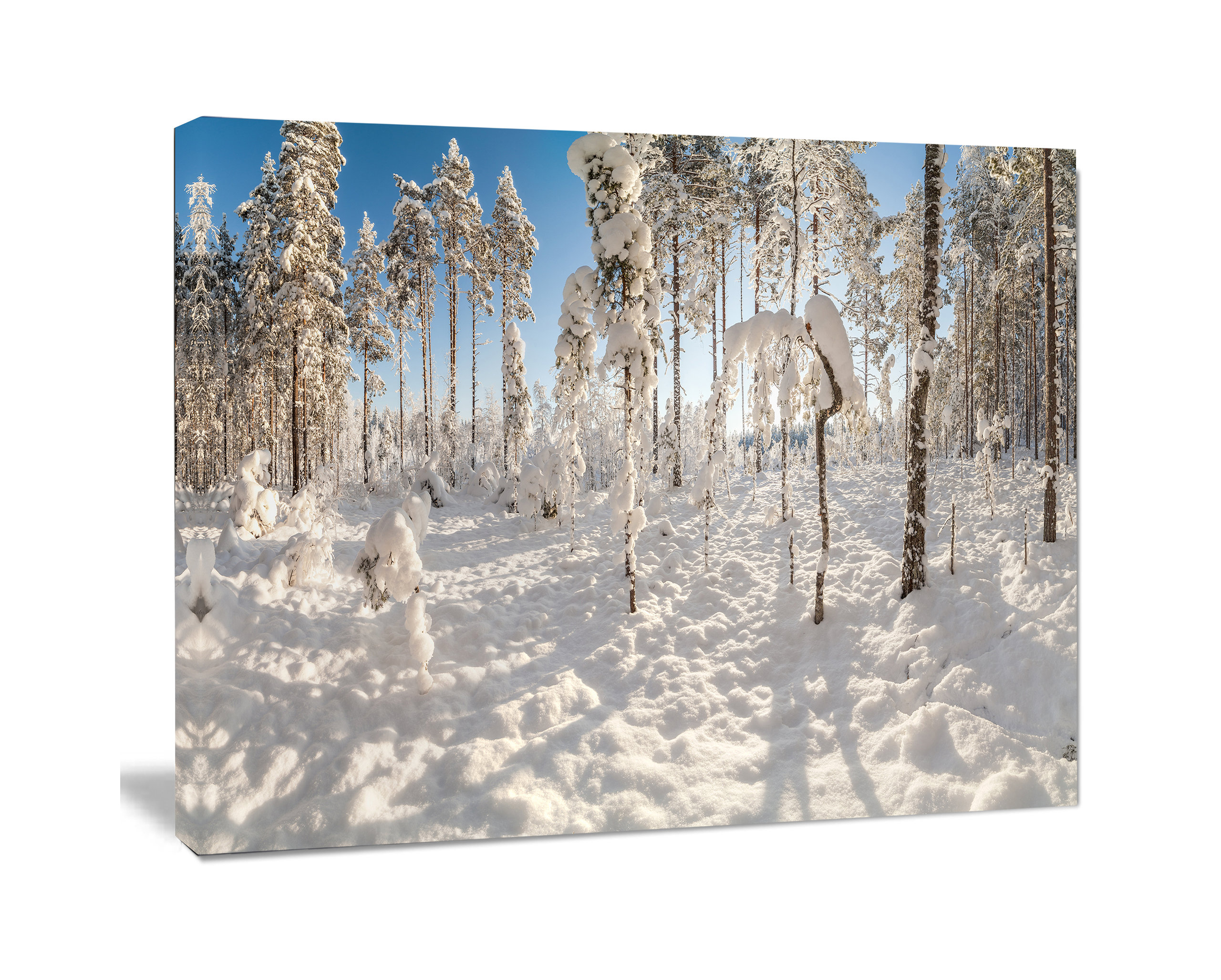 Winter Snow Covered Wood, Landscape Canvas Art Print, 20"x12 ...