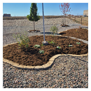 Landscaping Renovation (Berm, Irrigation System, Sod, Trees ...