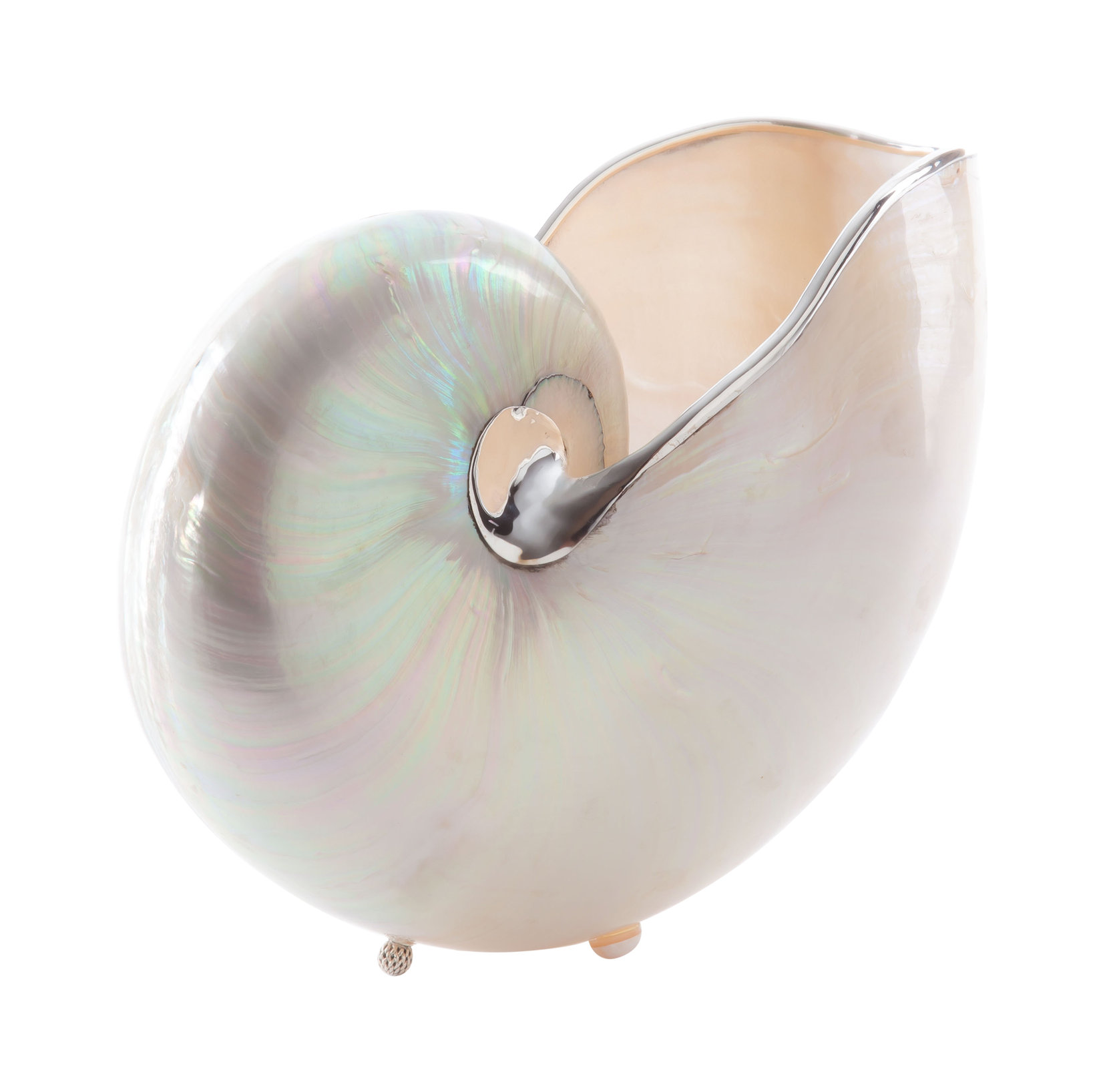 Large White Nautilus Shell with Sterling Silver - Beach Style ...