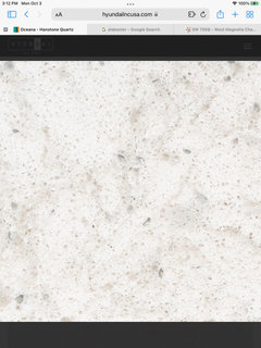 Alabaster cabinets and quartz countertop choices