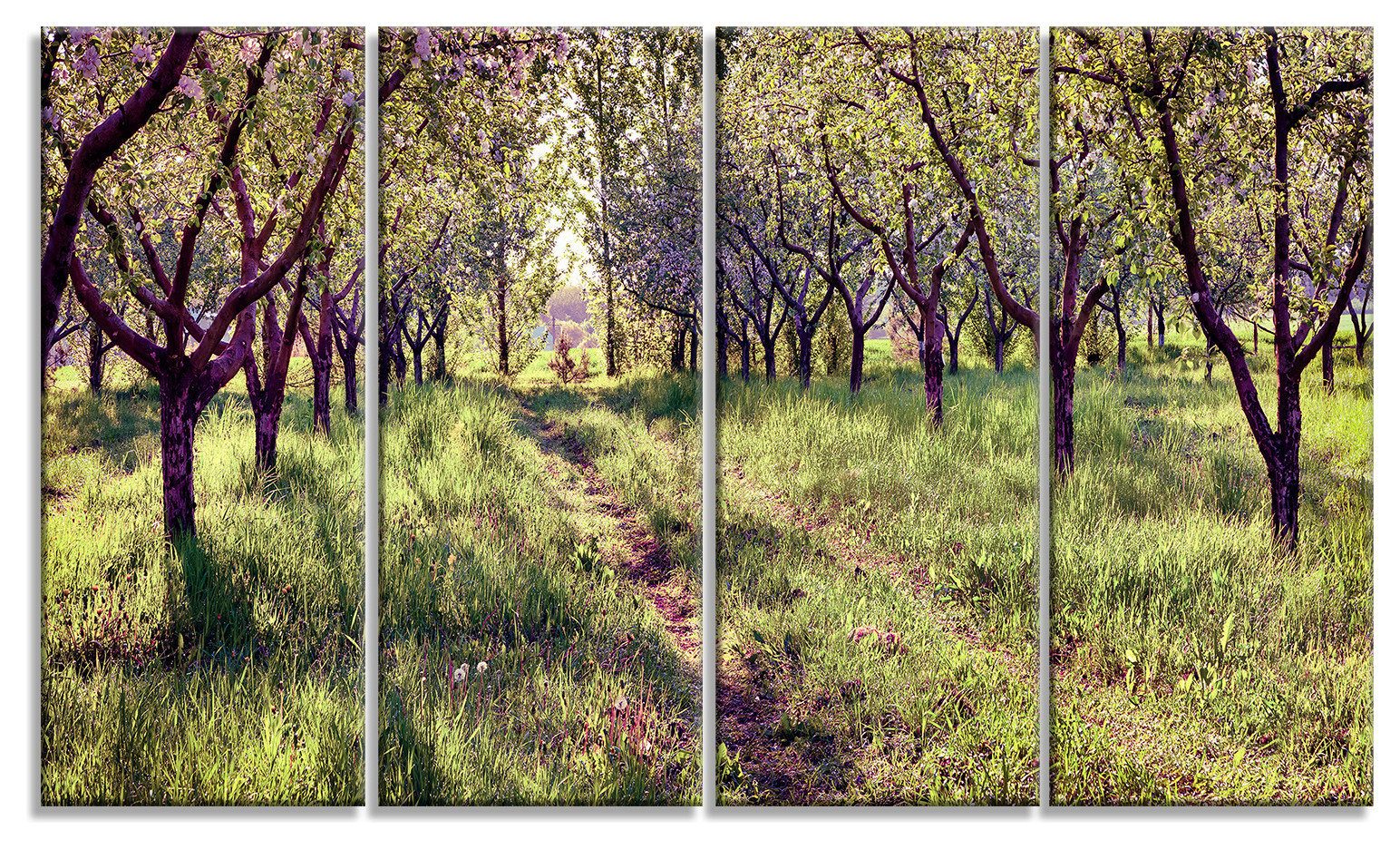 "Blossom Apples Garden" Photography Glossy Metal Wall Art, 48"x28" 4 ...