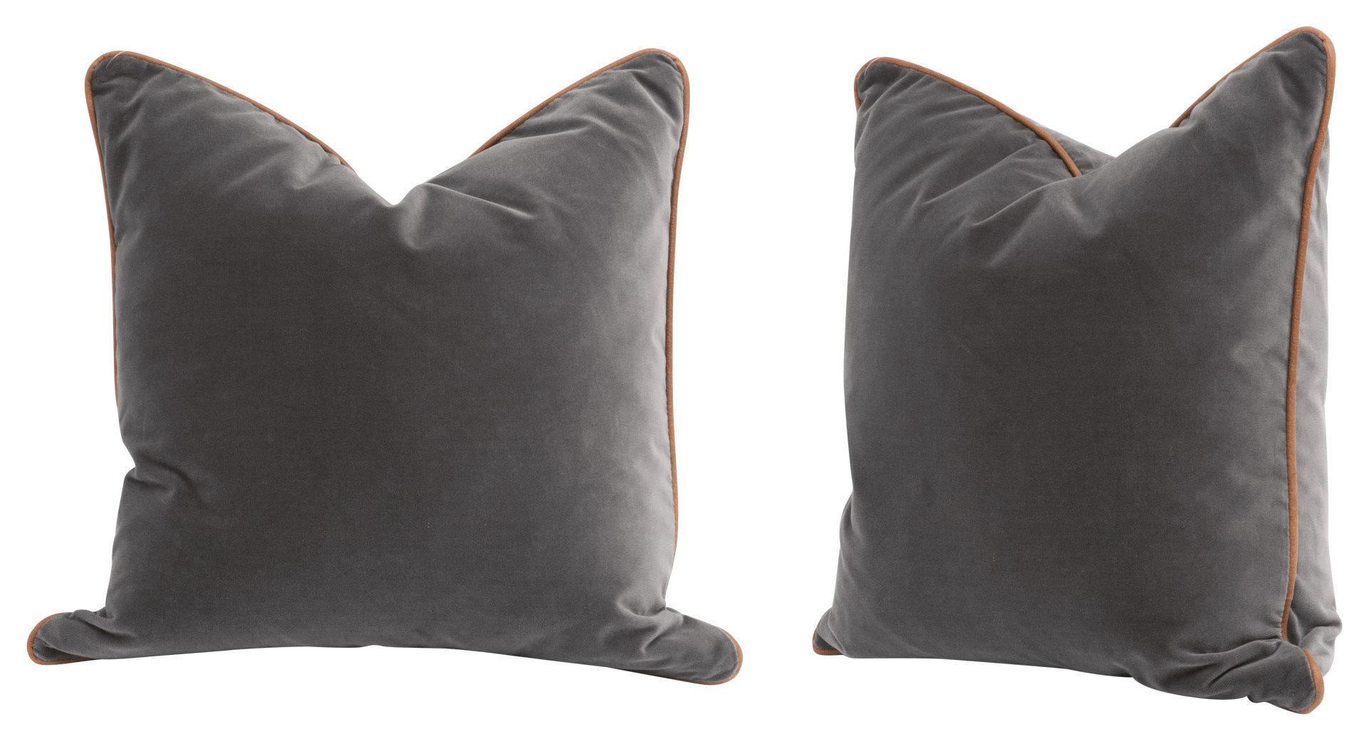 The Not So Basic 20" Essential Pillow, Set of 2 - Transitional ...