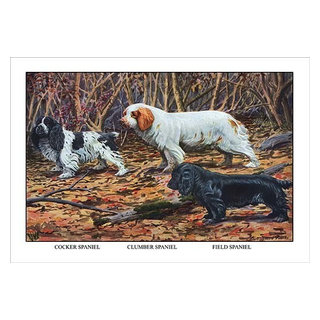 Cocker Spaniel, Clumber Spaniel and Field Spaniel, 20" x 30 ...