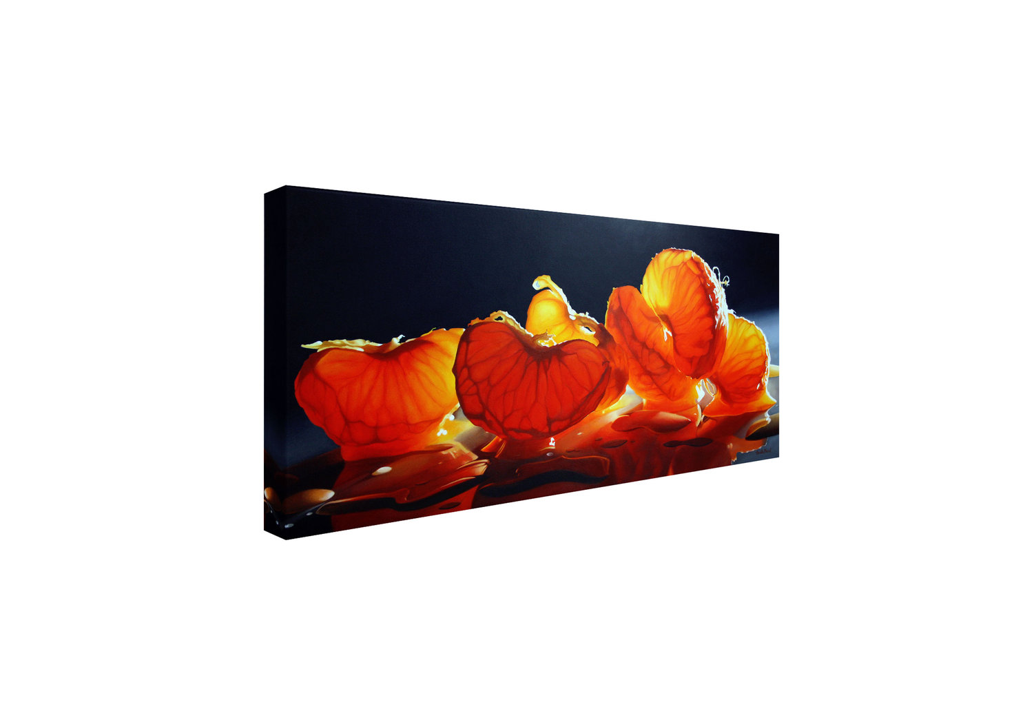 'Mandarin Orange' Canvas Art by Cecile Baird, 16" x 32" - Contemporary ...