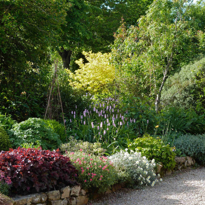 75 Beautiful Large Garden Ideas & Designs - October 2025 | Houzz AU