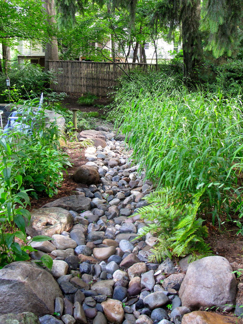 Dry Stream Bed | Houzz