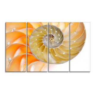 "Isolated Nautilus Shell" Abstract Art Canvas Art Print, 48"x28", 4 ...