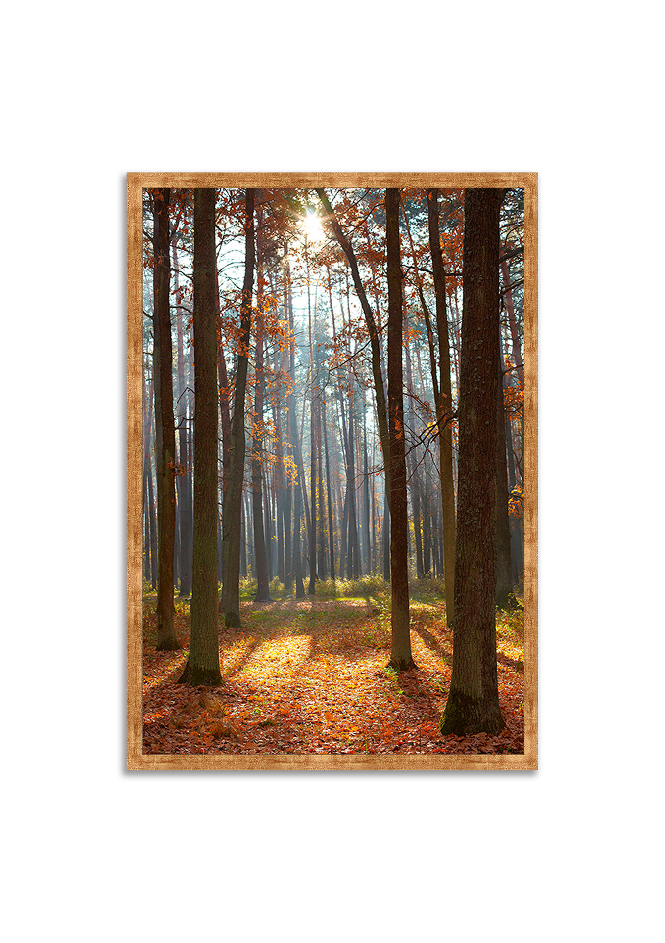 "Autumn Forest", Framed Photograph Print, Ready to Hang, 32"x47 ...