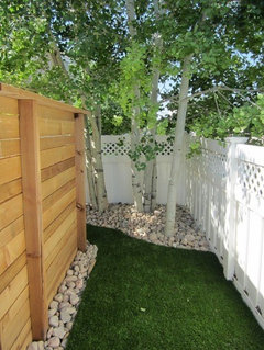 Dog running fence line | Houzz Forum