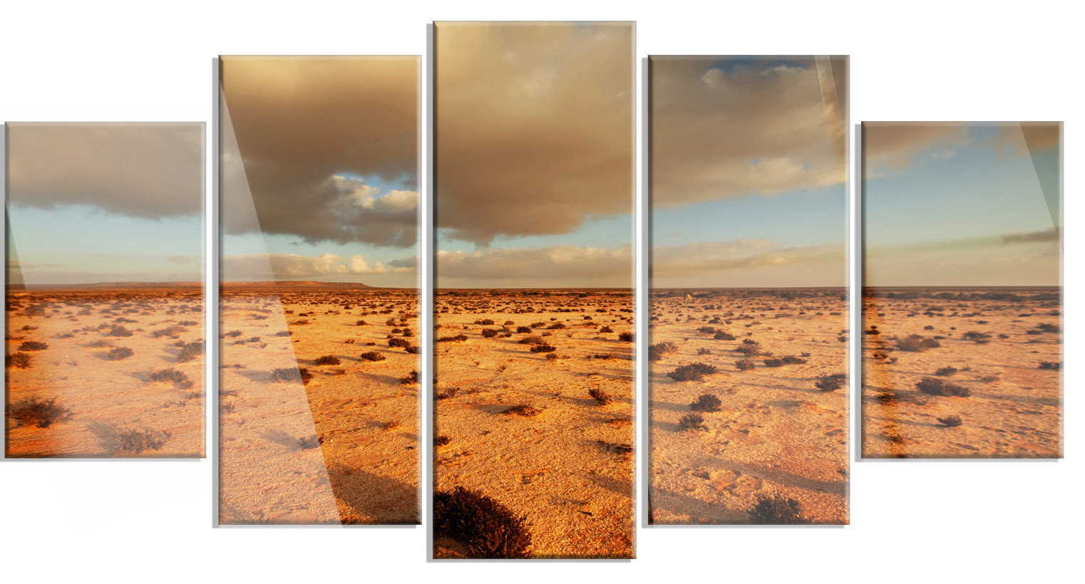 "Desert in Western Sahara", 60"x32" - Southwestern - Metal Wall Art ...