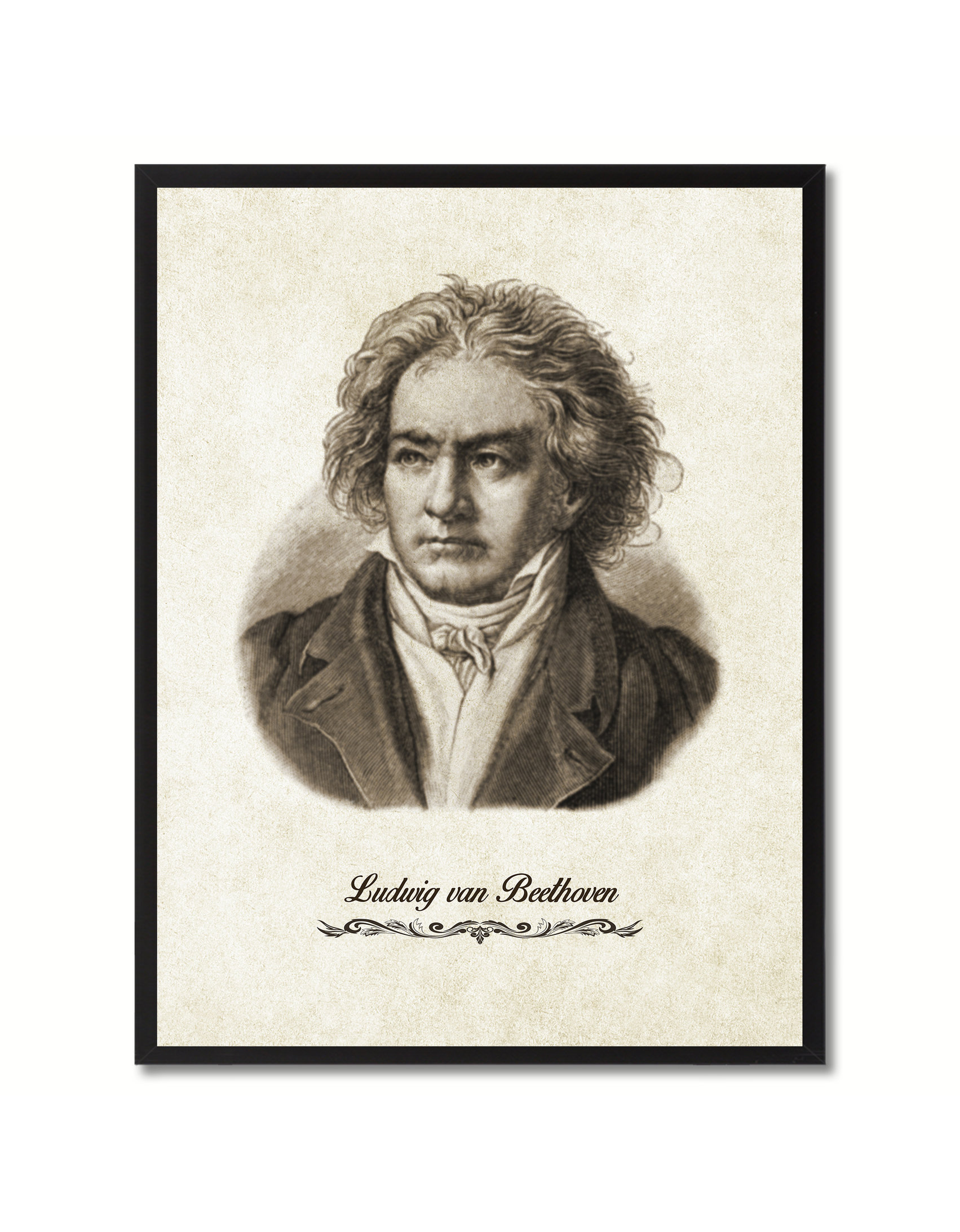Beethoven Musician Print on Canvas with Picture Frame, 22"x29 ...