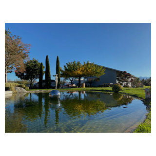 Réalisation d’un bassin aquatique et d’une plantation audacieuse ...