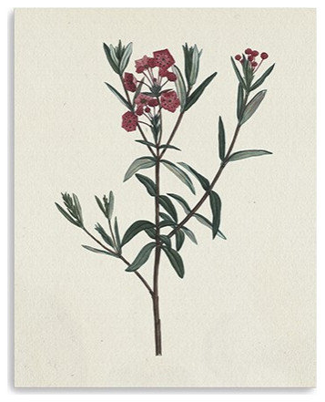 20" Singular Red Blossom Branch Canvas Wall Art - Contemporary - Prints ...