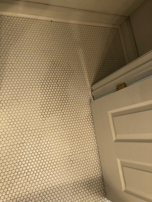 Bad Penny tile job - help | Houzz Forum