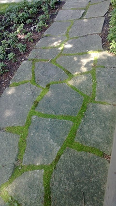 Exposed Aggregate vs Bluestone... | Houzz Forum