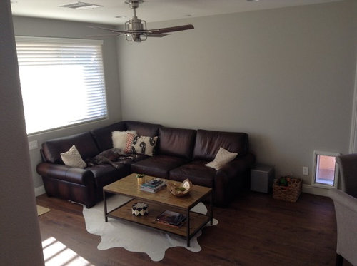 New couch! New problems!!