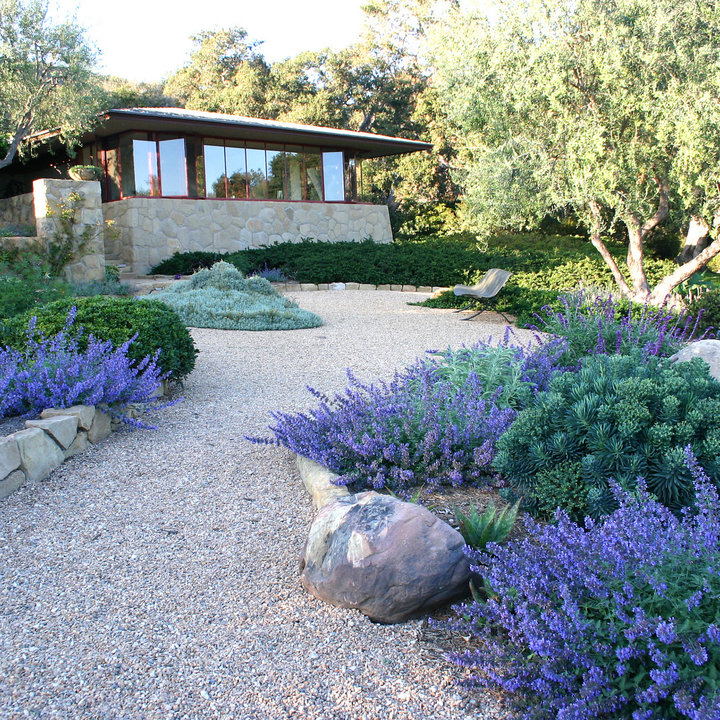 75 Beautiful Xeriscape Ideas & Designs - January 2025 | Houzz AU