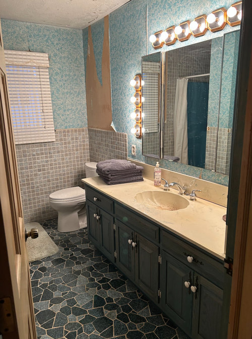 Full and Master Bathroom Remodel Discussion | Houzz Forum