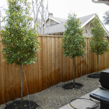 Eagleston Holly - Photos & Ideas | Houzz