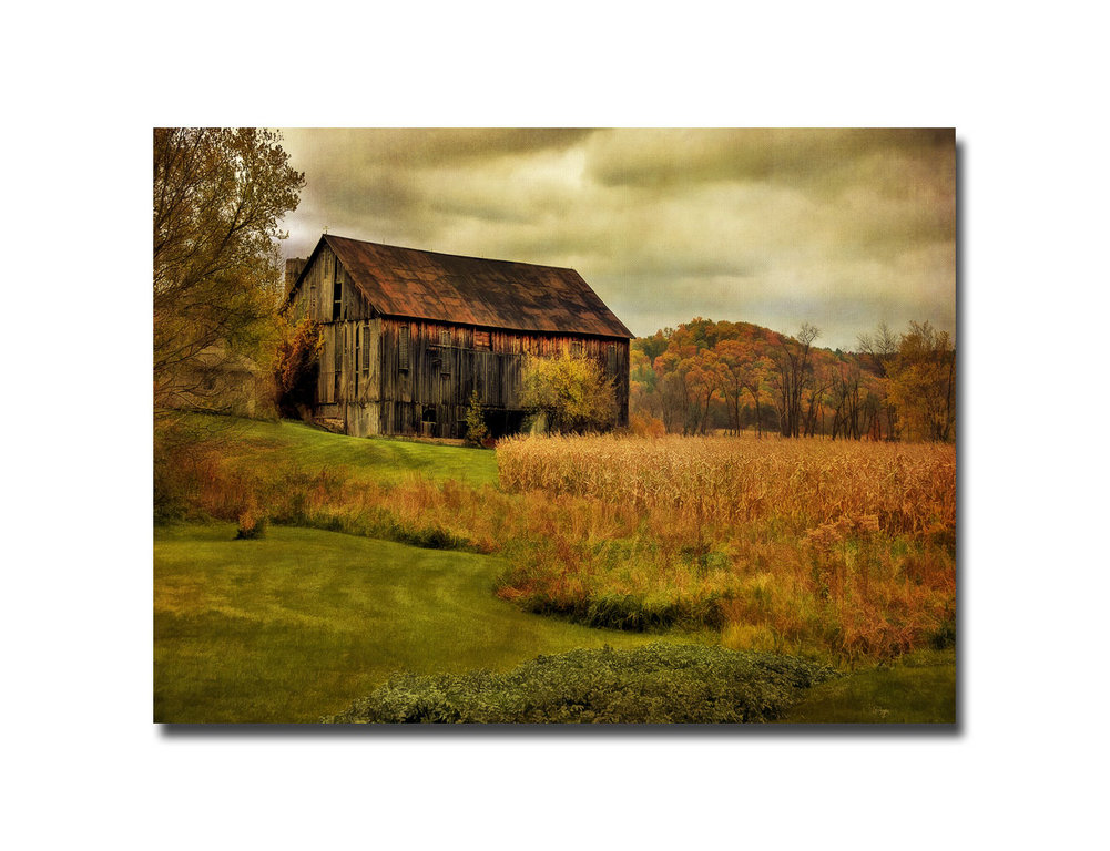 'Old Barn on Rainy Day' Canvas Art by Lois Bryan, 22" x 32" - Farmhouse ...