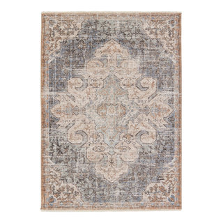 Jaipur Lark Lynette Lar03 Traditional Rug, Tan/Blue, 4'x6 ...