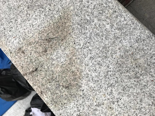 Need help with tar stain on stone floor