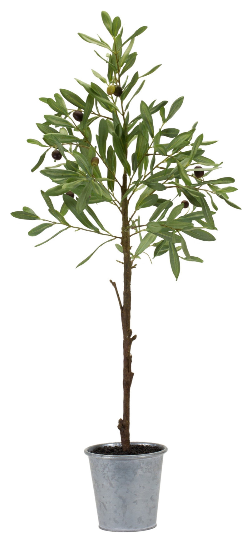 Potted Olive Tree - Traditional - Artificial Plants And Trees - by ...