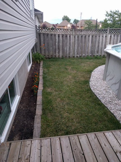 How to landscape in front of basement windows?