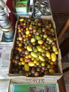 Here is the list of My seeds. Whatcha think?