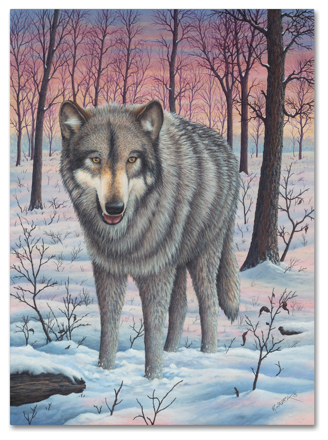 Robert Wavra 'Lone Wolf' Canvas Art, 35"x 47" - Rustic - Prints And ...