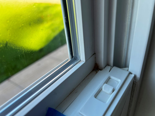 Atrium Window Experience