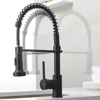 Solid Brass Pull Out Spring Spout Kitchen Faucet - Contemporary ...