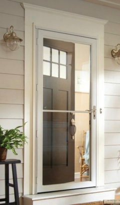 Storm door color