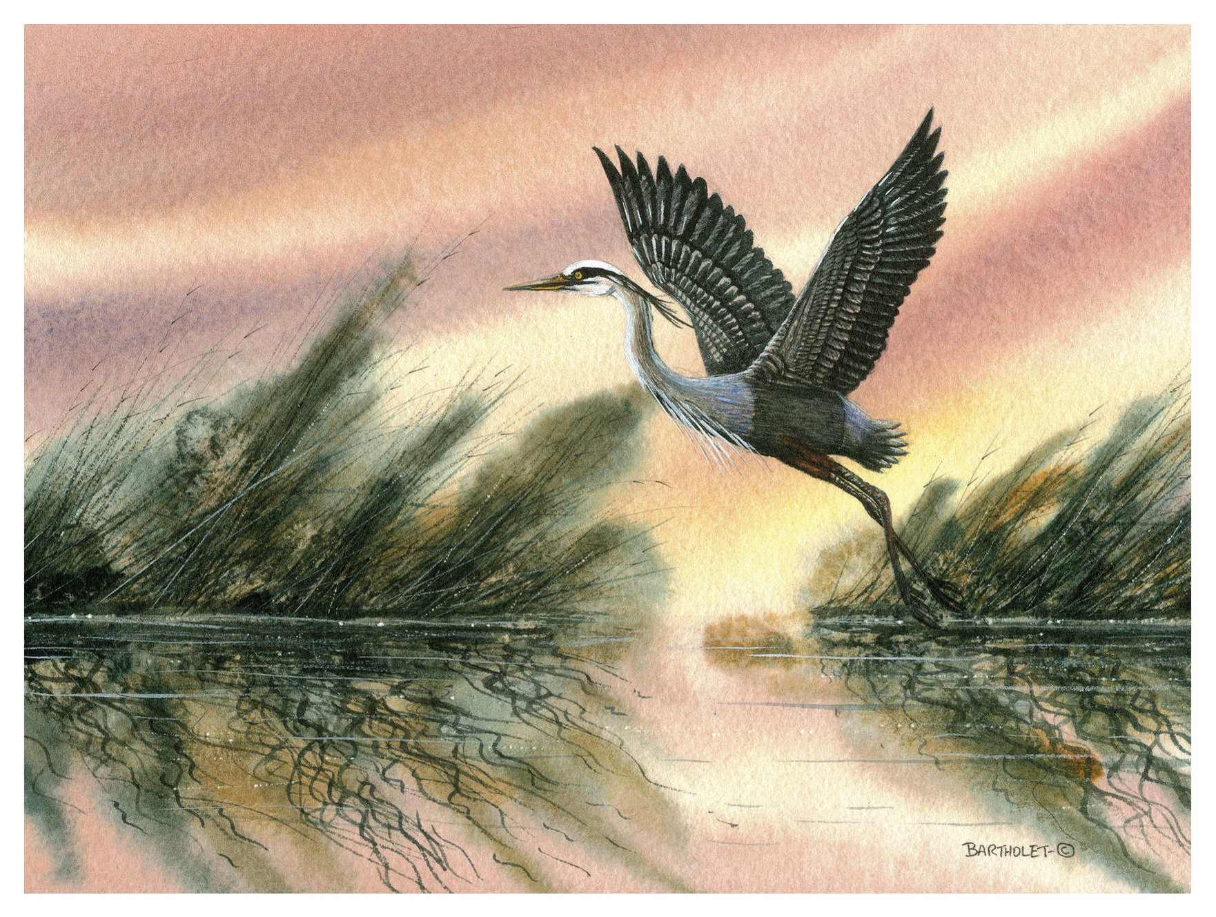 by Artist Dave Bartholet Cool Of The Morning Art Print, 18"x24" - Beach ...