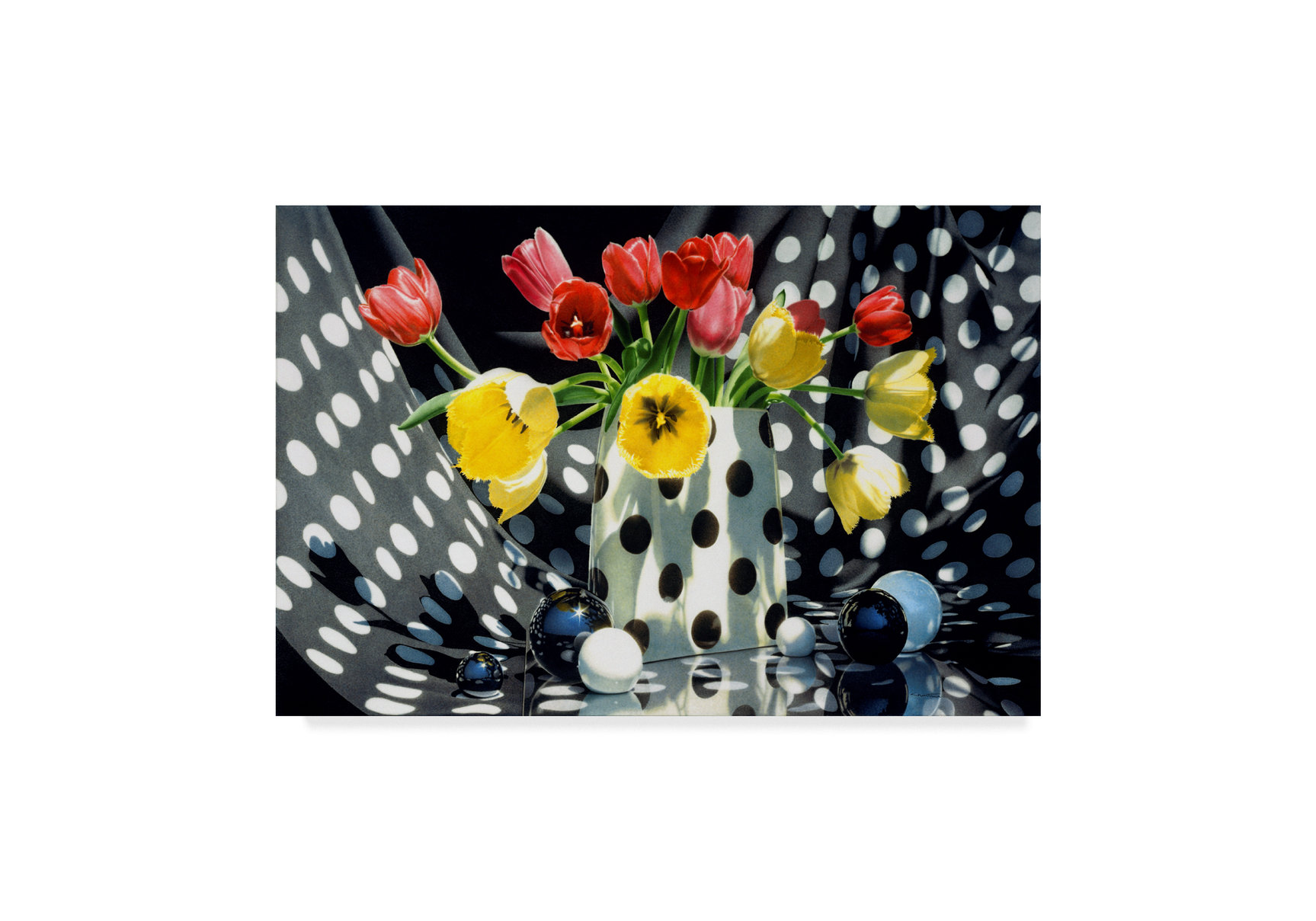 Francois Chartier 'Black And White In Color' Canvas Art, 24"x16 ...